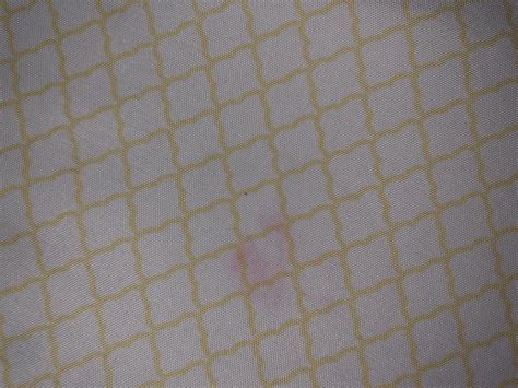 Please Please Help Me Rbedbugs