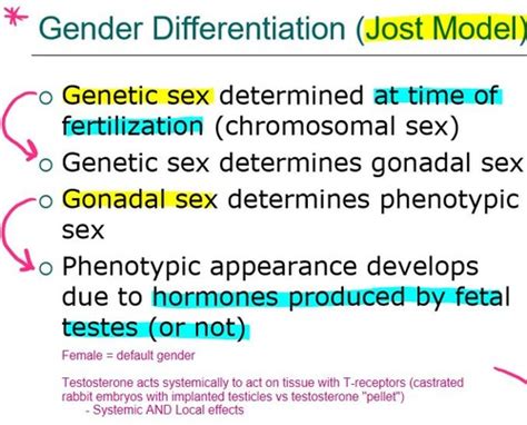 Lecture 5 Learning Objectives Flashcards Quizlet