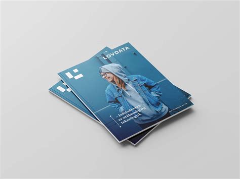 Grafisk Element Lovdata Designmanual