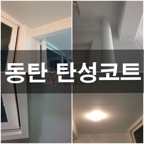 동탄탄성코트 반송동 시범 다은마을 월드메르디앙 반도유보라 네이버 블로그