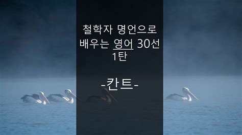 철학자 명언으로 배우는 영어 30선 칸트편 상 Youtube