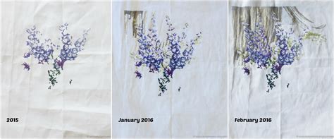 The Cross Stitch Project Peonies And Delphiniums 322016 A Glad Diary