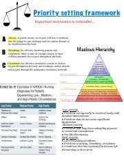 Essential Priority Setting Framework For Healthcare Professionals Course Hero