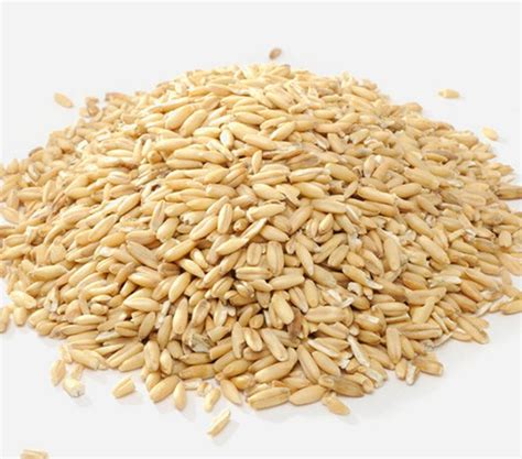 Oatmeal The Science Behind The Health Benefits Of Oatmeal