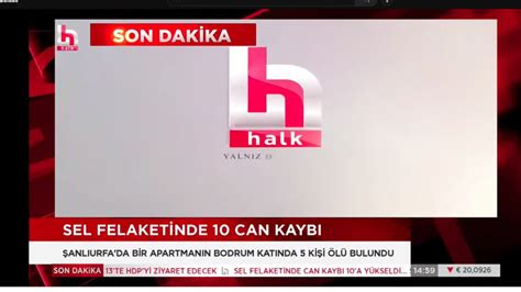 Arzu 🐾🖤 On Twitter Pisi Pisine ölümler ülkesi Herkes Düşünür Akp