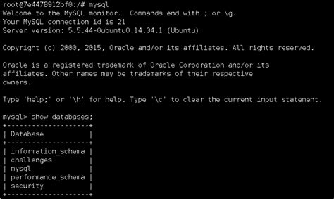 Docker搭建sqli Labs Nihinumbra 博客园