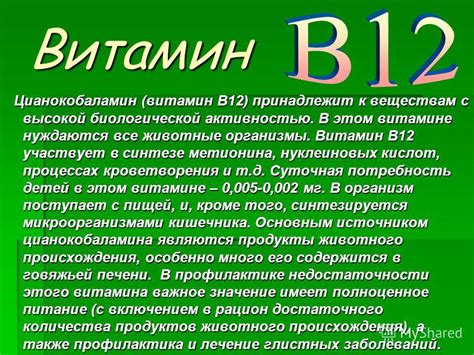Чем полезен витамин b12: Витамин B12: для чего применяется и где содержится