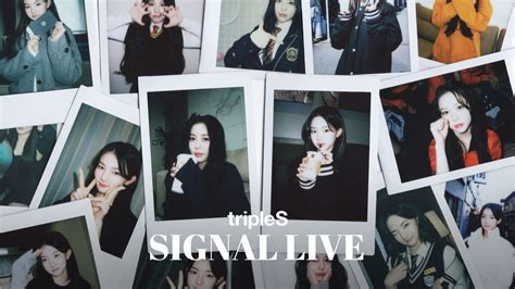 Live Signal 61 Triples Wiki Fandom