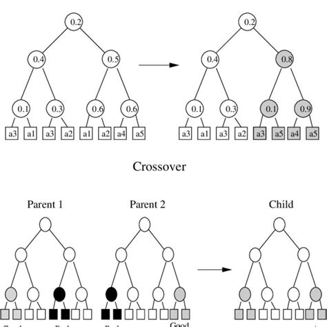 Crossover Bws And Mutation Operators For The Tree Representation