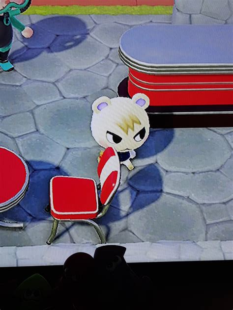 Guys I Think My Marshal Is Defective Animalcrossing