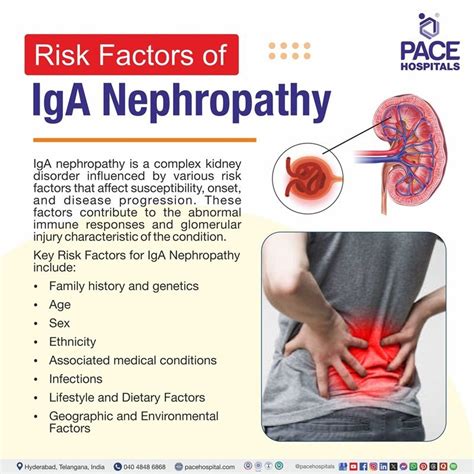 Iga Nephropathy Symptoms Causes Diagnosis And Treatment