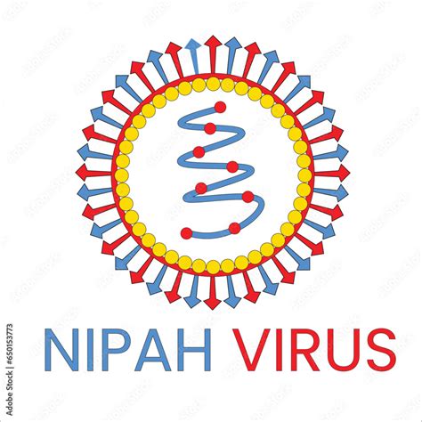 Nipah Virus Icon Which Can Be Spread From Person To Person And From