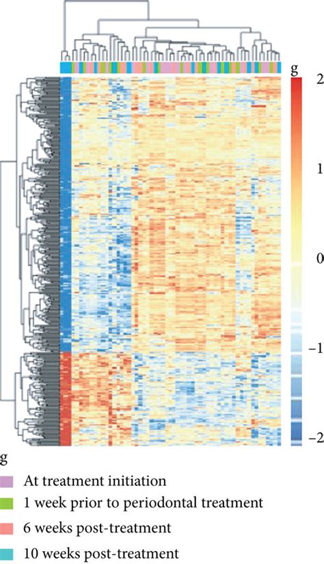 Clustering Dendrograms And Modules Identified By Wgcna A Heat Map