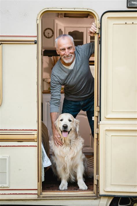 Assurance Chien Mode D Emploi Et Avantages