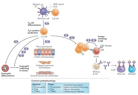 阿斯利康il 5α单抗三期临床失败，挺诡异的 药时代drugtimes