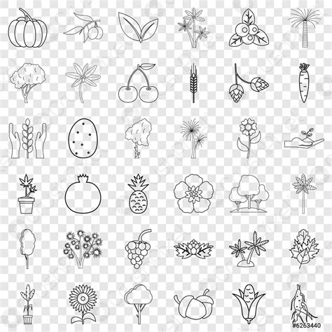 Tree Icons Set Outline Style Stock Vector 6263440 Crushpixel