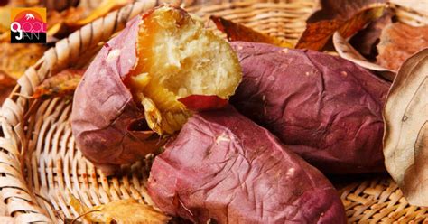 Yaki Imo Baked Sweet Potato One Of Japans Winter Foods Qooljan
