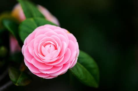 光と風と ほんの少しの偶然と