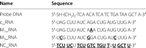 Rna Nucleotide Sequence