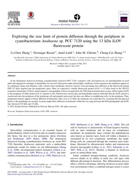 Exploring Size Limits Of Protein Diffusion Pdf Green Fluorescent