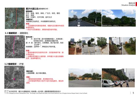 某省会城市经济开发区道路景观提质改造设计 道路街区景观 筑龙园林景观论坛