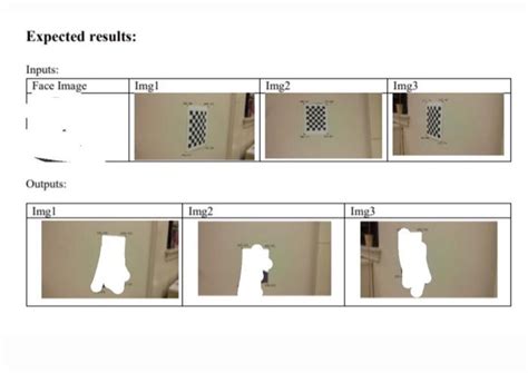 Solved 1 Capturing And Recordingwriting An Image Using