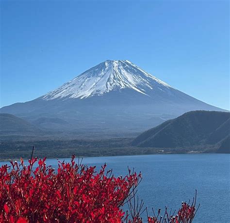 Ntkプライベートツアー Tutto Quello Che Cè Da Sapere 2026