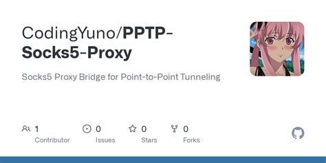 Github Codingyunopptp Socks5 Proxy Socks5 Proxy Bridge For Point To