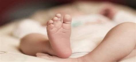 Capturan A Hombre Por Abuso Sexual A Bebé Vallarta Digital
