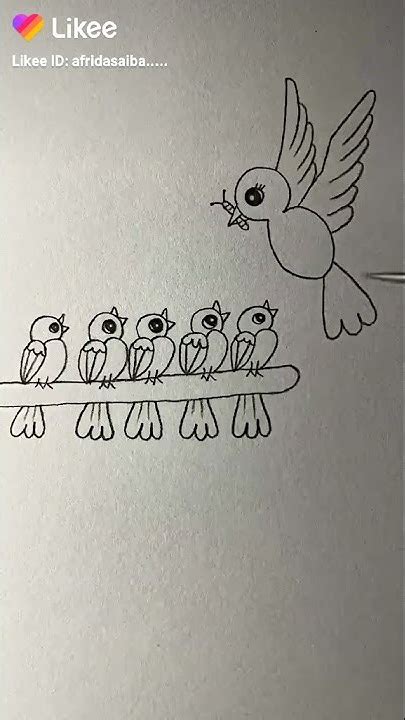 Bird And Moder 👩‍👧‍👧 Youtube