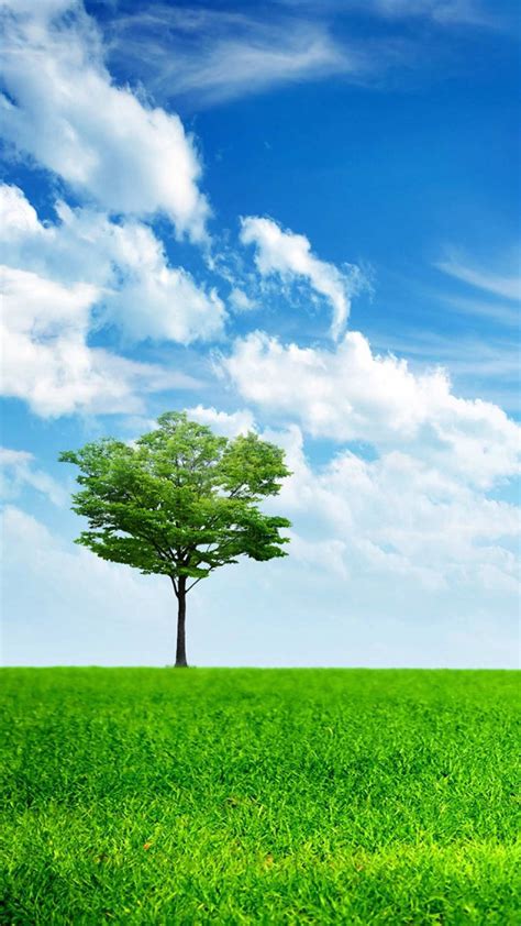 [200 ] Nature Phone Wallpapers