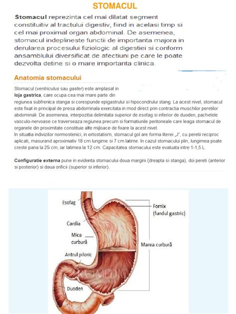 Stomacul Pdf