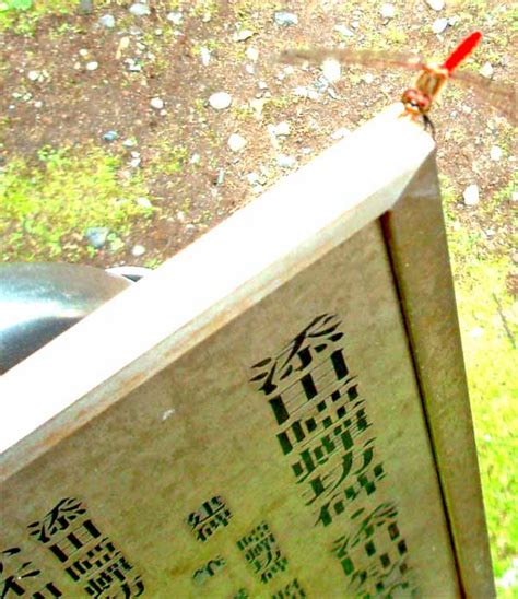 浅草の木馬と空襲の記憶 ─唖蝉坊演歌に誘われて（3） 社 会 評 論 社