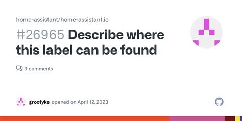 Describe Where This Label Can Be Found · Issue 26965 · Home Assistant
