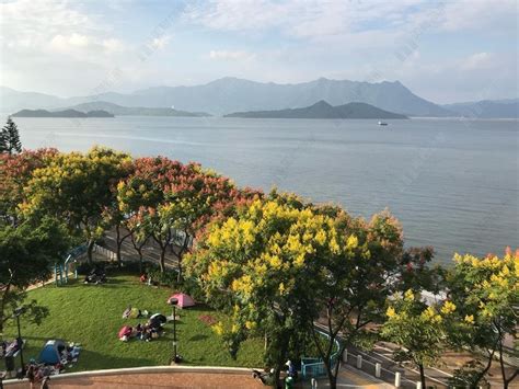 馬鞍山 海典居 5座 中層 B室 網上搵樓 美聯物業