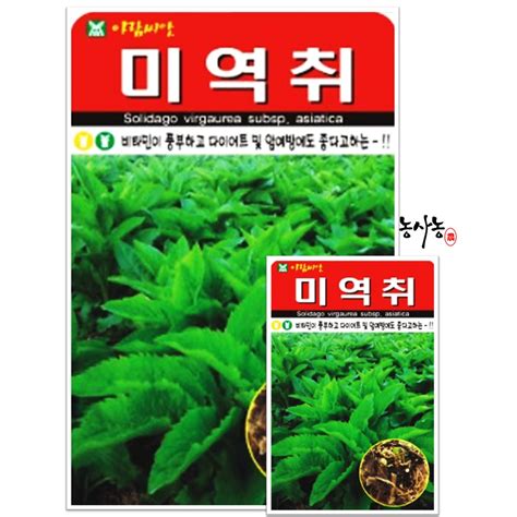 울릉도나물 부지깽이 부지갱이 취나물 미역취 산마늘 명이나물 눈개승마 씨앗 종류 심는시기 종자 파종방법 네이버 블로그