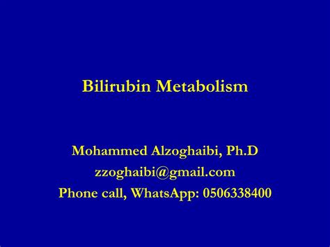 Ppt Bilirubin Metabolism Powerpoint Presentation Free Download Id 3069595