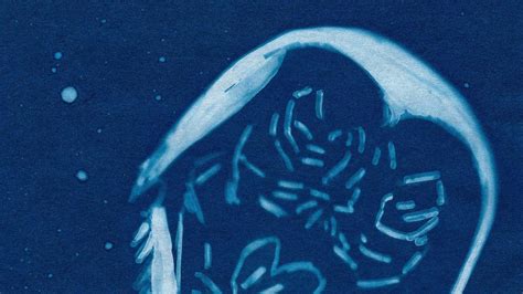 Nüüd Berlin Gallery Daniela Finke A Present From The Past« • Pib