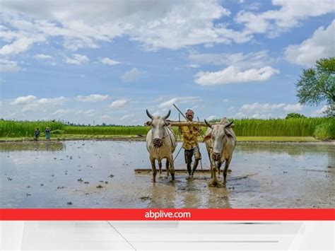 Agricultural Input Subsidy Of Rs 13500 As Compensation To The Farmers