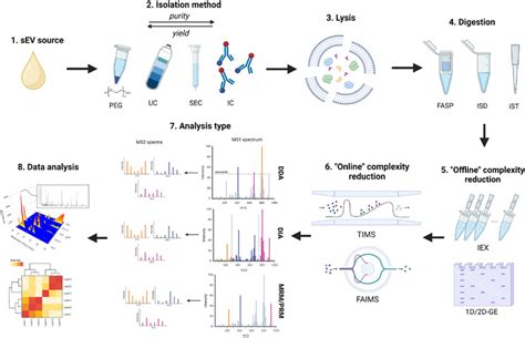 Challenges Of Ms‐based Small Extracellular Vesicles Proteomics Pmc