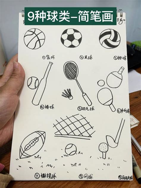 儿童球类简笔画大全 儿童球类简笔画大全图片 画趣文库（我爱生活）