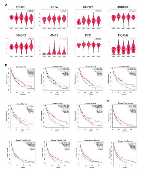 Tumor Pathological Stage And Multifaceted Prognostic Value Of
