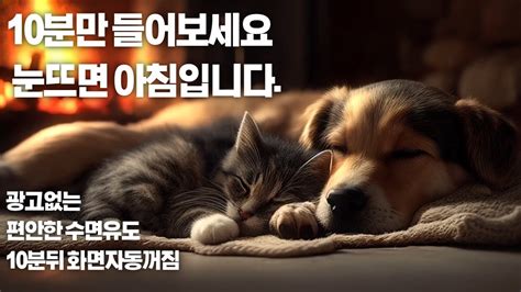6시간 연속 수면유도 중간광고없음 잠안올때 듣는음악 아기자장가 자장가 힐링음악 명상음악 잠잘때