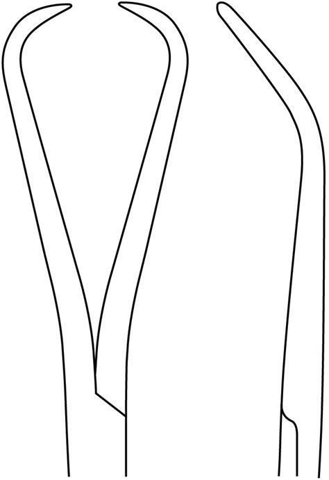 Bone Reduction Forceps 12 Long Ratchet Gsource