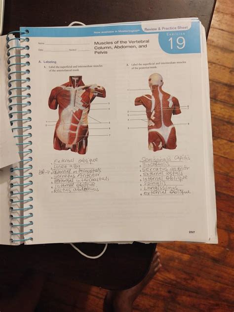 Solved Now Available In Masteringasp Review Practice Sheet Chegg