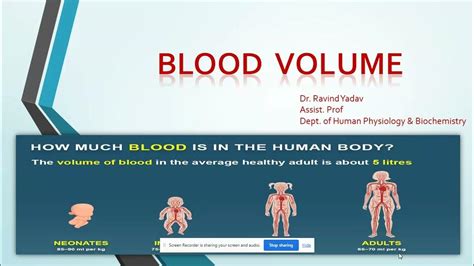 💉 Blood Volume Understanding Measurement And Physiological