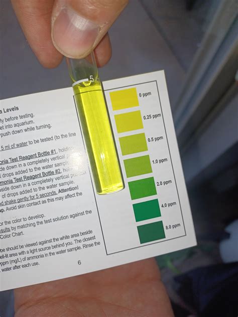 Ammonia Level R Axolotls