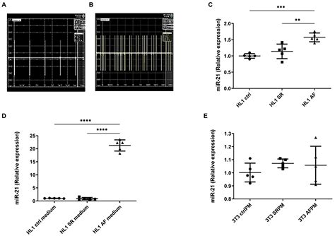Frontiers Microrna 21 Mediated Cross Talk Between Cardiomyocytes And