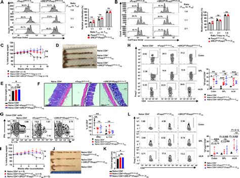 Src2 Is Dispensable For The Suppressive Function Of T Regs In Younger Download Scientific