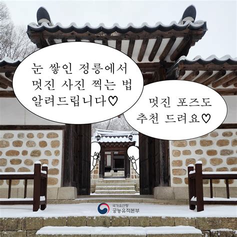 국가유산청 궁능유적본부 🍁덕수궁의 가을🍁 궁능유적본부 덕수궁 가을 단풍 Instagram